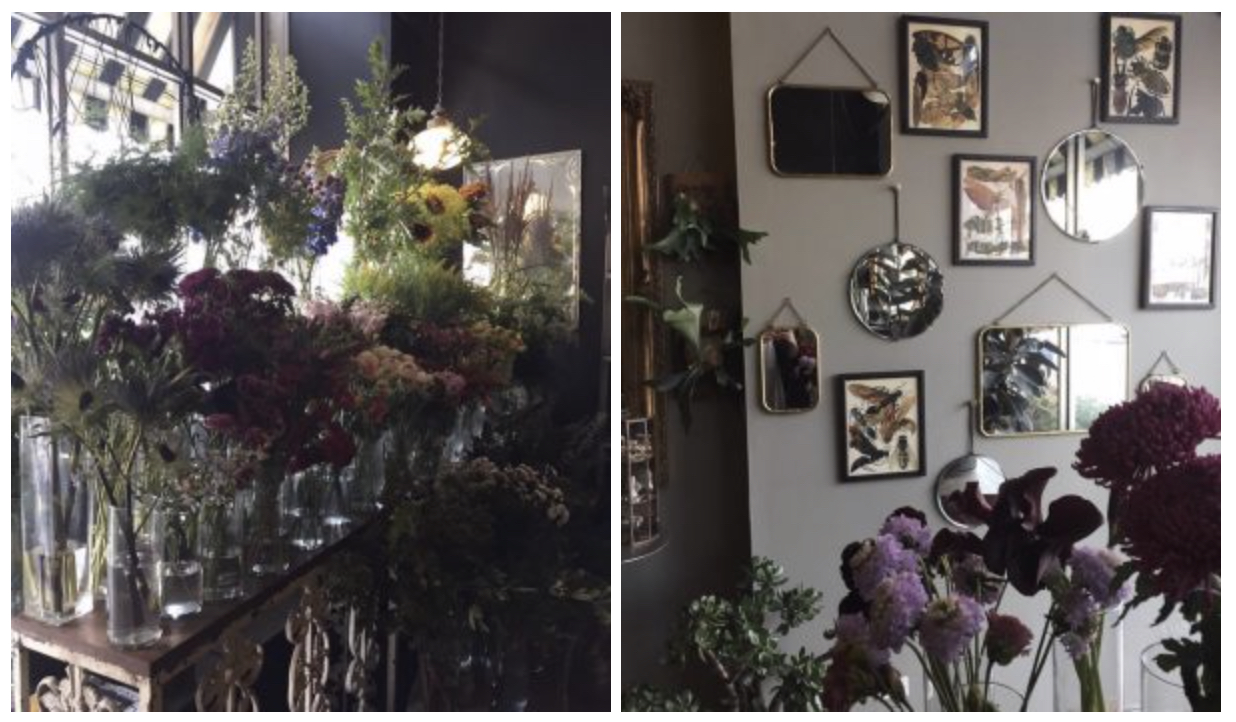 Asrai Garden's Elizabeth Cronin Talks Flowers, Taxidermy and Business