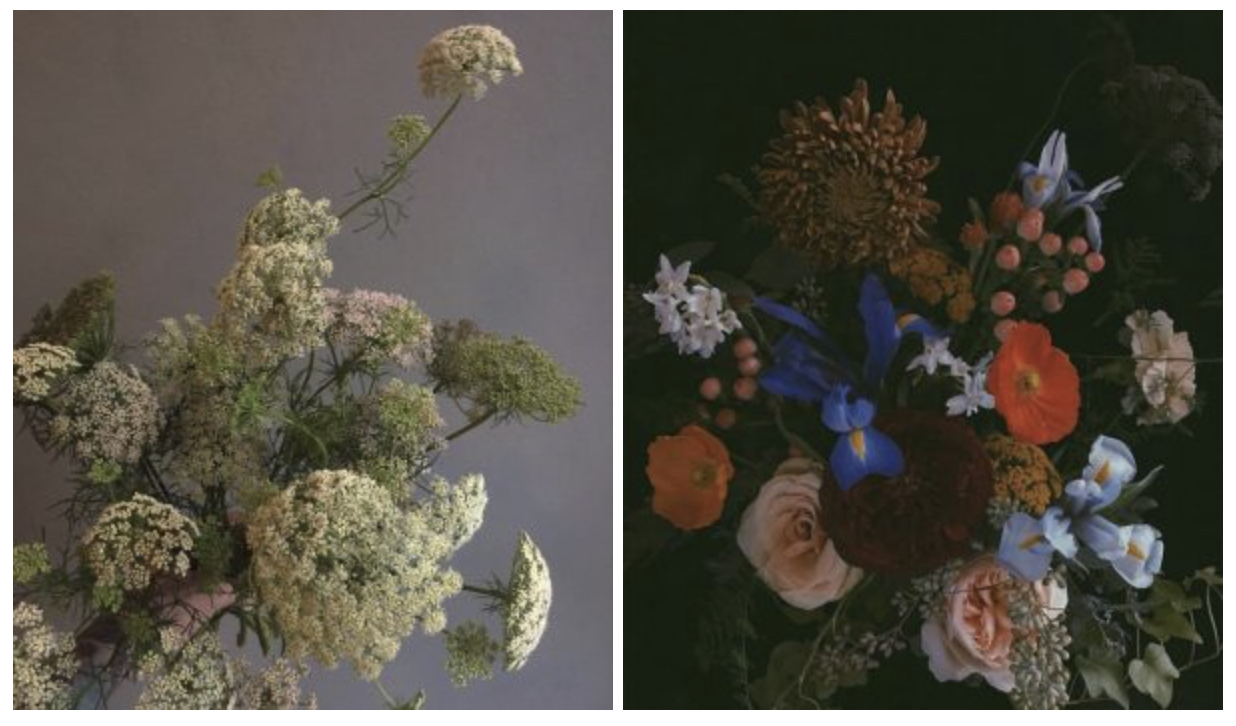 Asrai Garden's Elizabeth Cronin Talks Flowers, Taxidermy and Business